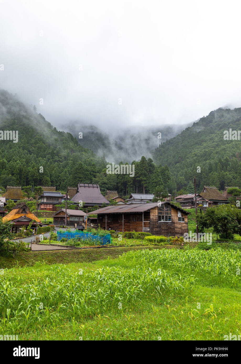 Thatched roofed houses in a traditional village in the fog, Kyoto ...
