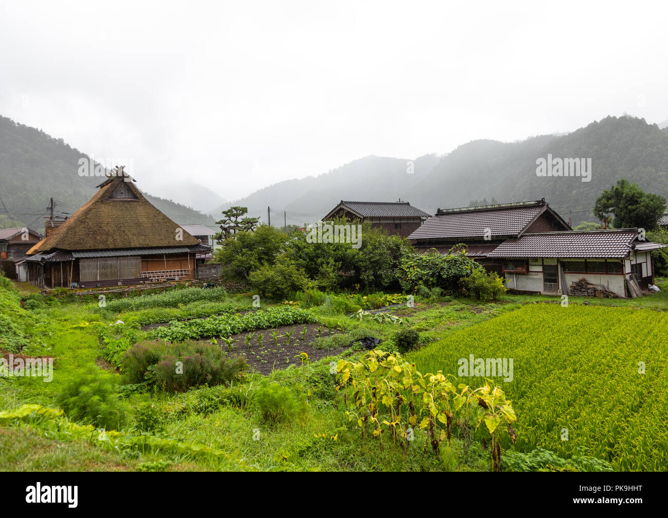 Rice field traditional japanese houses hi-res stock photography and ...