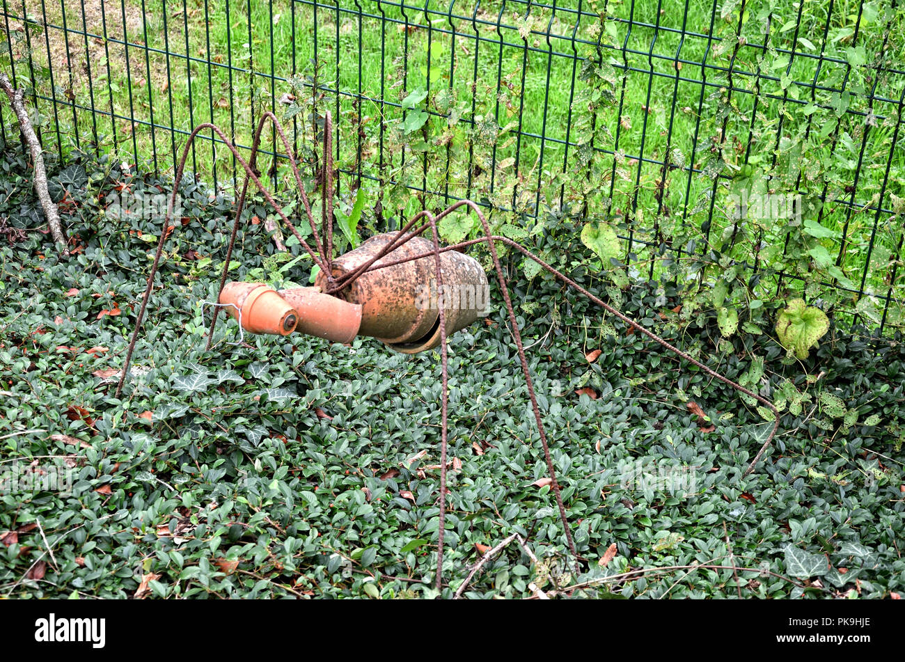 A Flowerpot Spider Stock Photo - Alamy