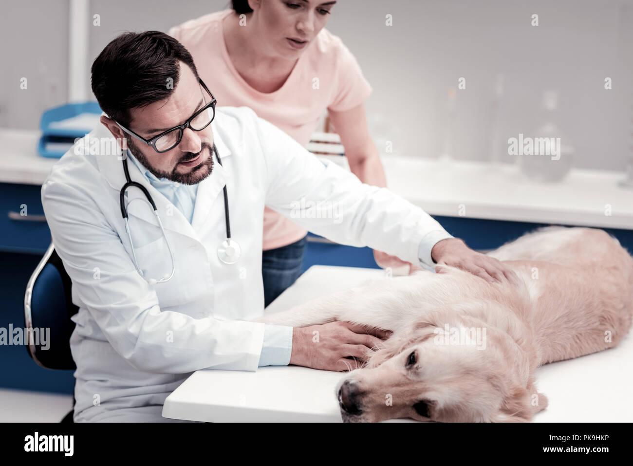 Vet treating dog hi-res stock photography and images - Alamy