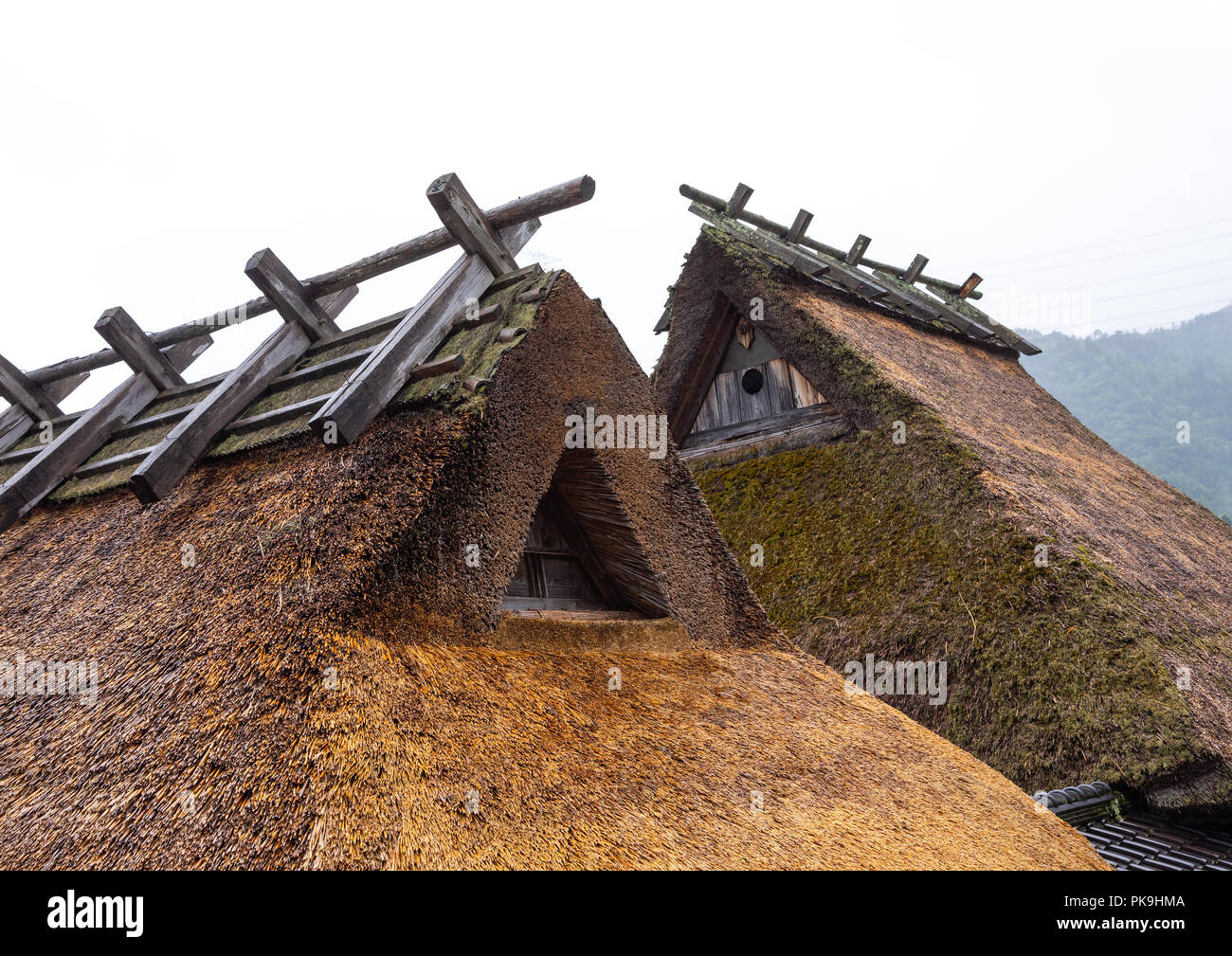 Thatched roof houses in japanese hi-res stock photography and images ...