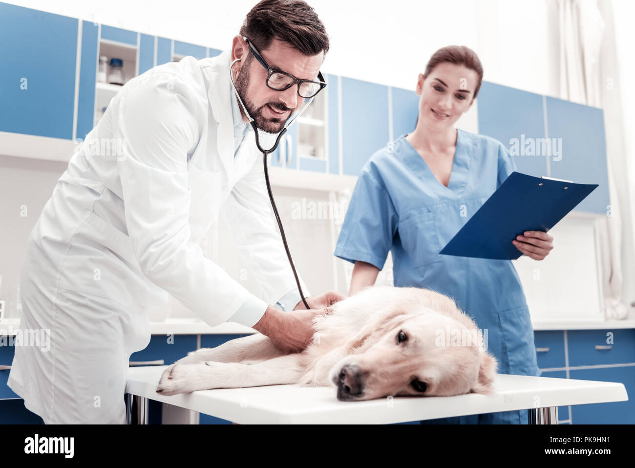 Veterinary procedures hi-res stock photography and images - Alamy