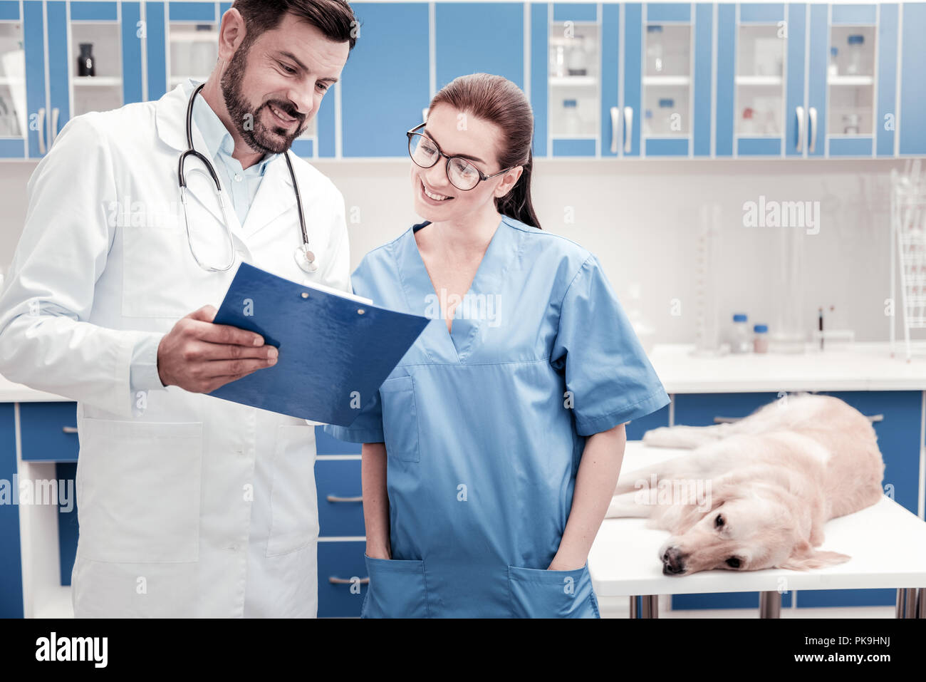 Vet assistant hi-res stock photography and images - Alamy