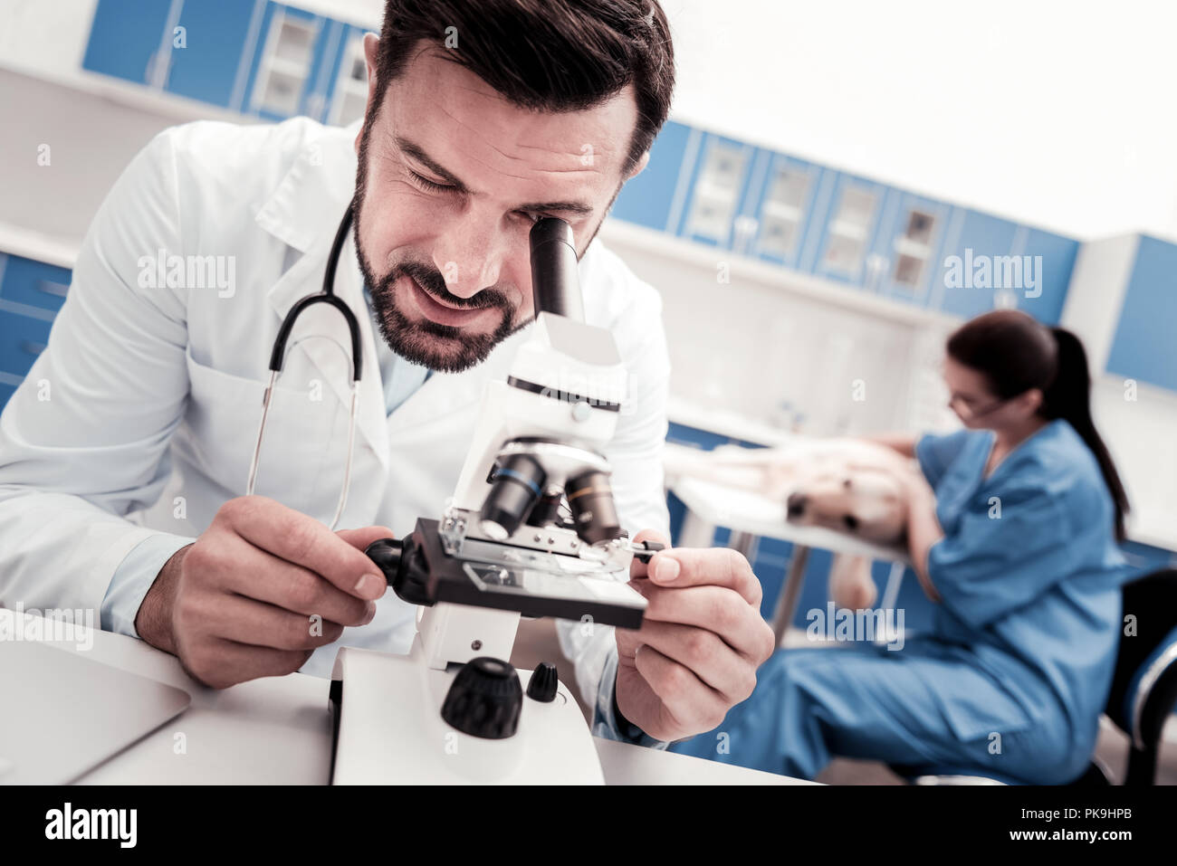 Vet and microscope hi-res stock photography and images - Alamy