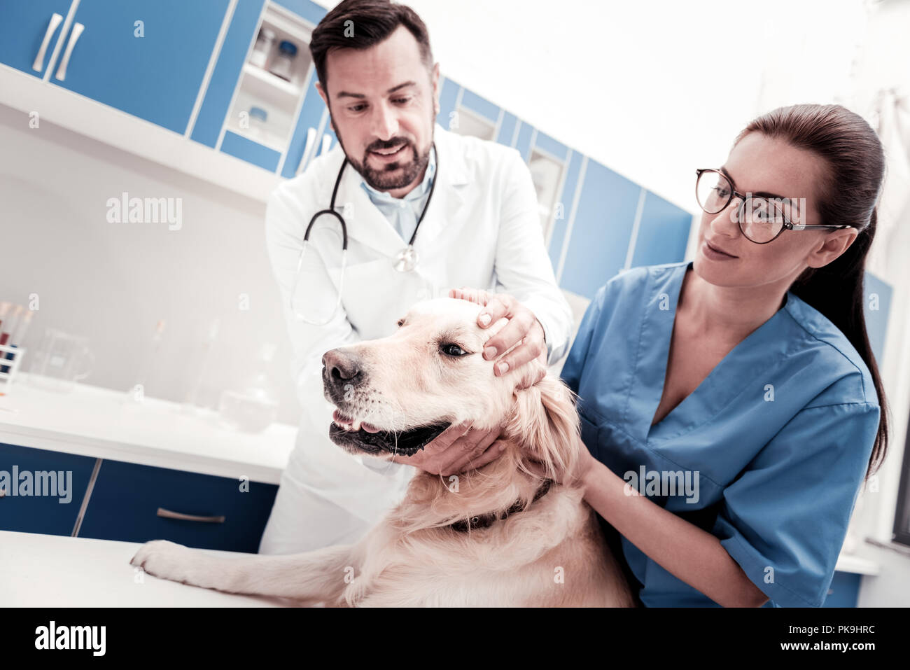 Veterinary medication hi-res stock photography and images - Alamy