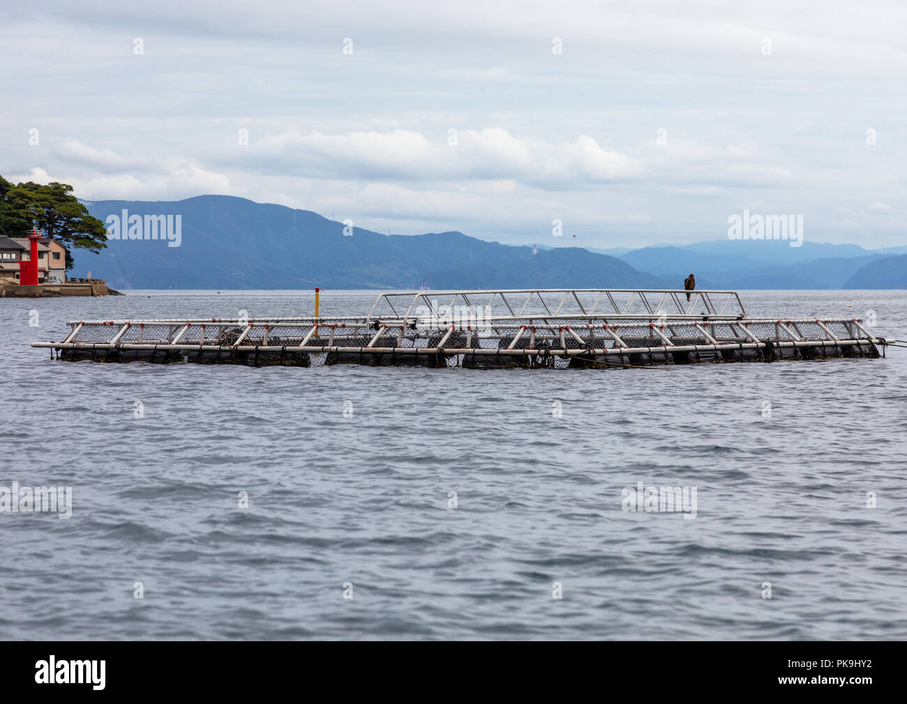Japan aquaculture hi-res stock photography and images - Alamy