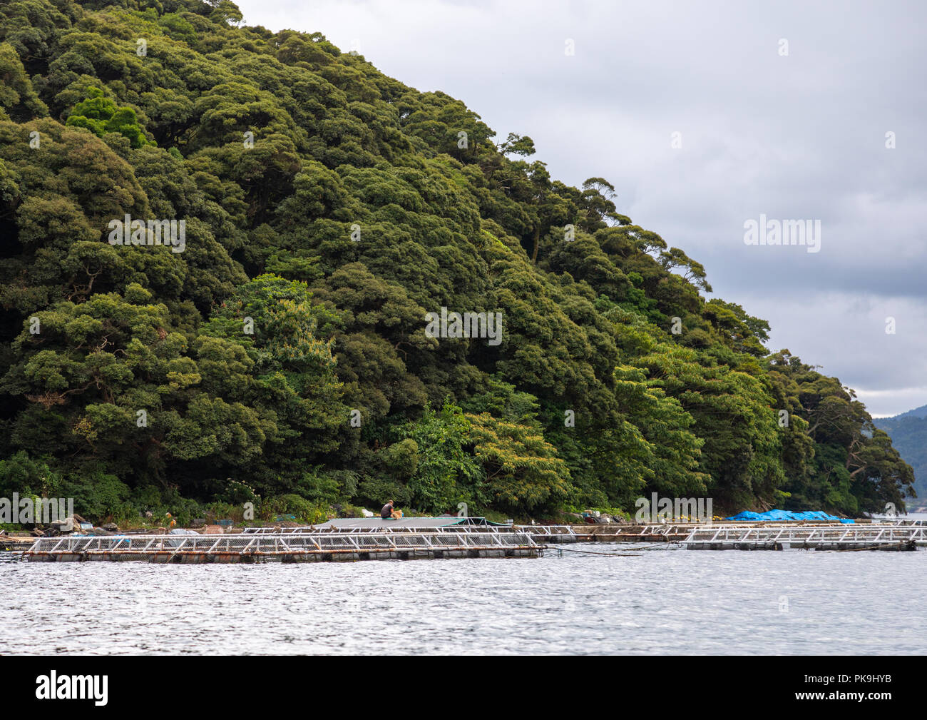 Japan aquaculture hi-res stock photography and images - Alamy