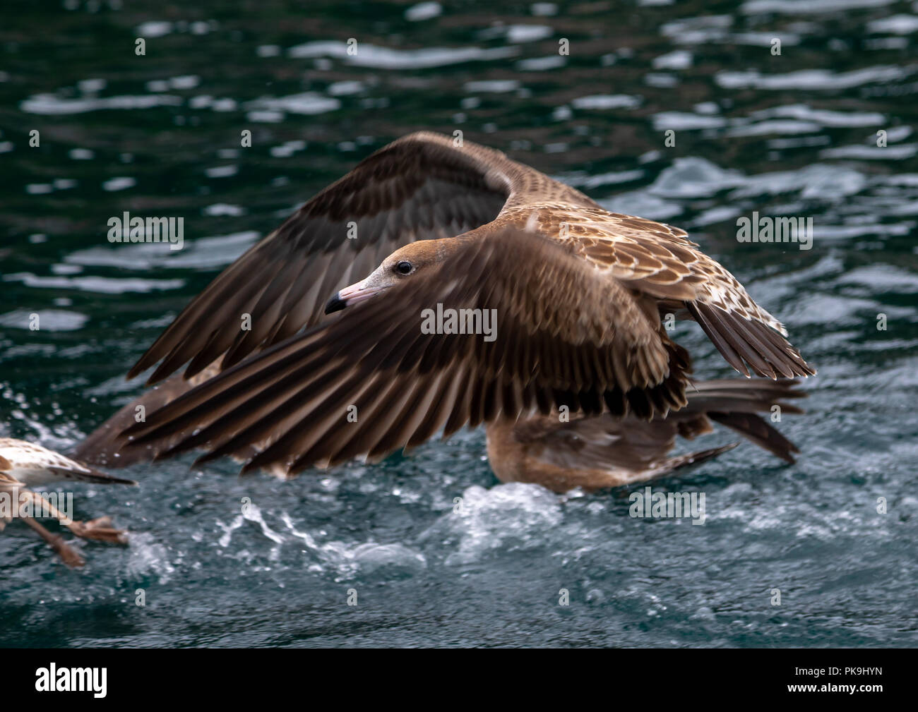 Japan18204 hi-res stock photography and images - Alamy