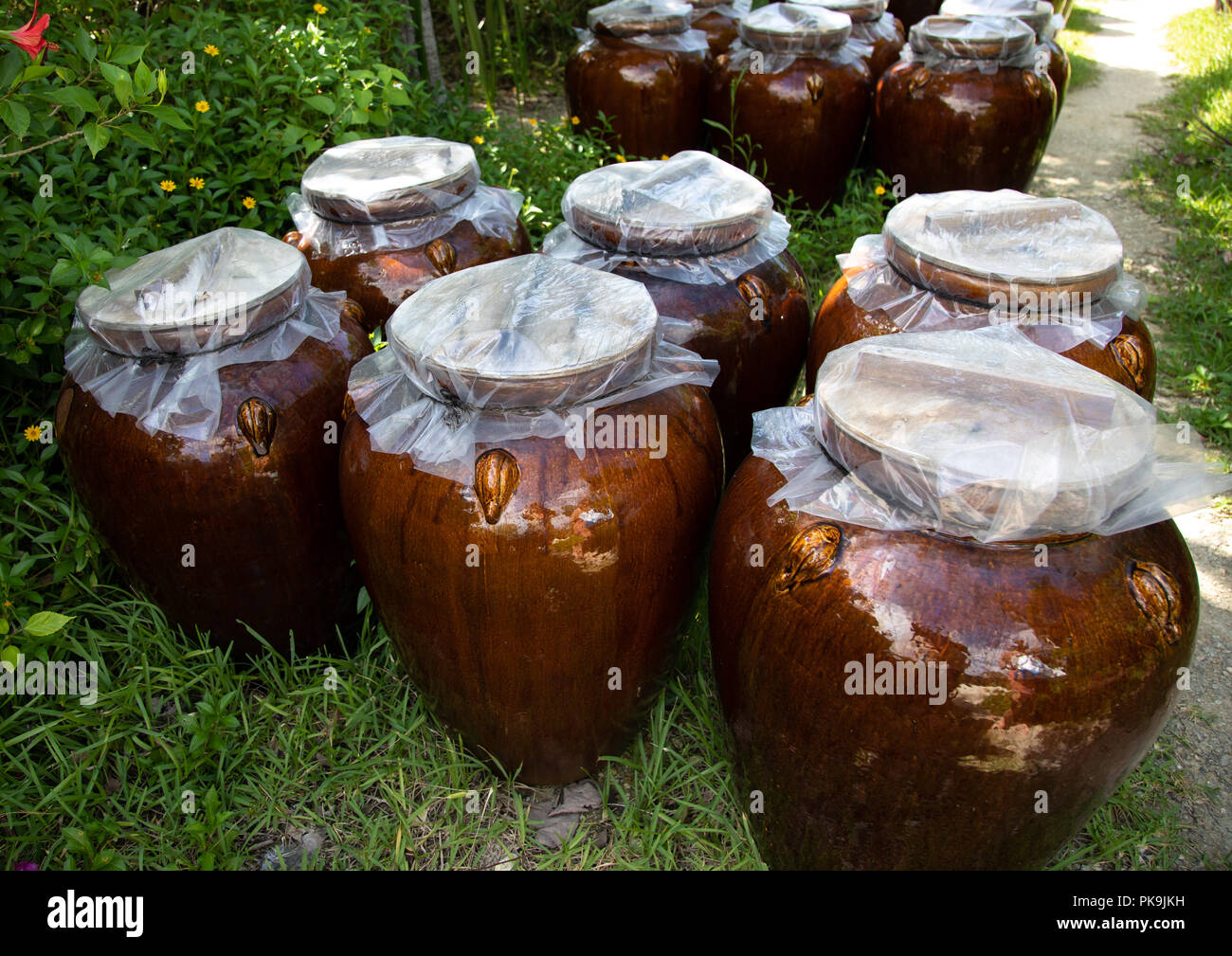 Okinawa honto hi-res stock photography and images - Alamy