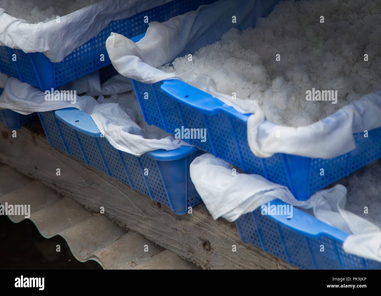 No shio salt factory, Yaeyama Islands, Ishigaki-jima, Japan Stock Photo ...