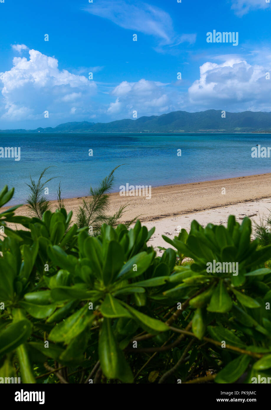 Salt beach, Yaeyama Islands, Ishigaki-jima, Japan Stock Photo - Alamy