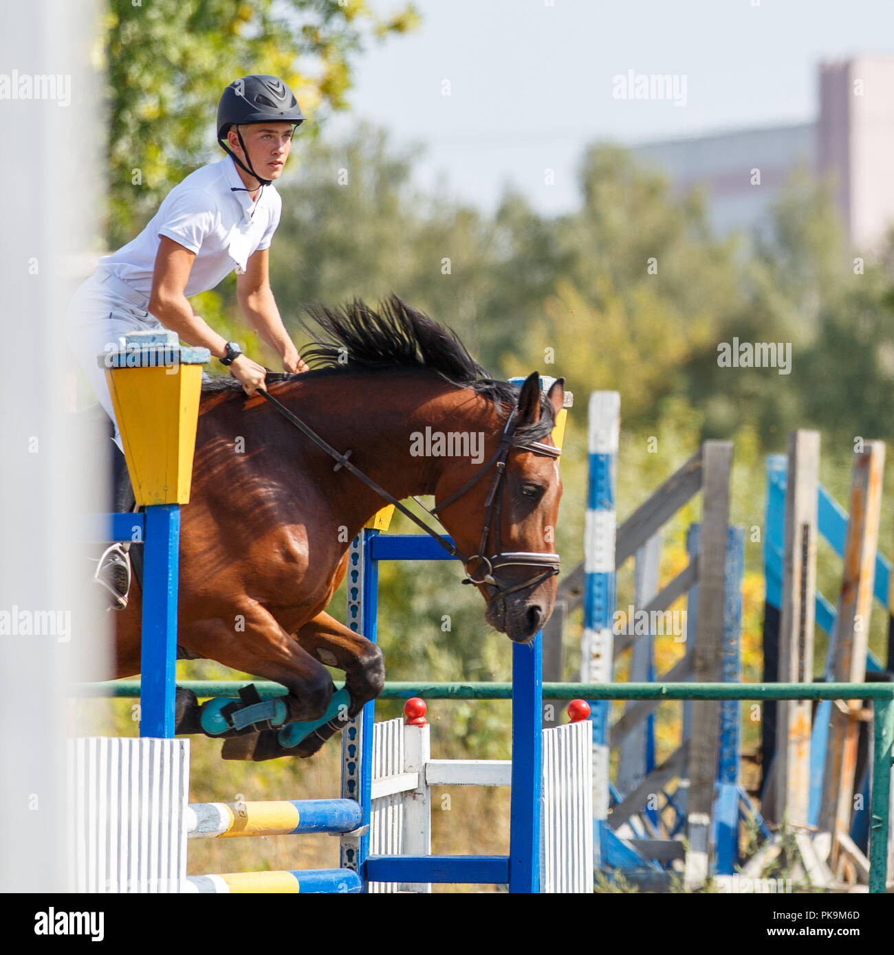 Showjumper hi-res stock photography and images - Alamy