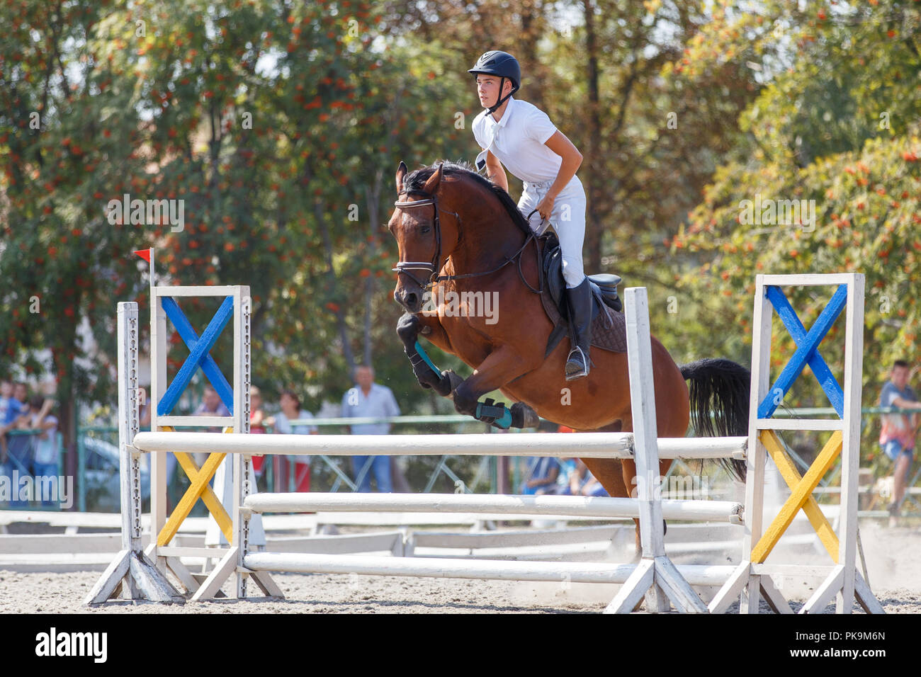 Young man riding horse on show jumping event Stock Photo - Alamy