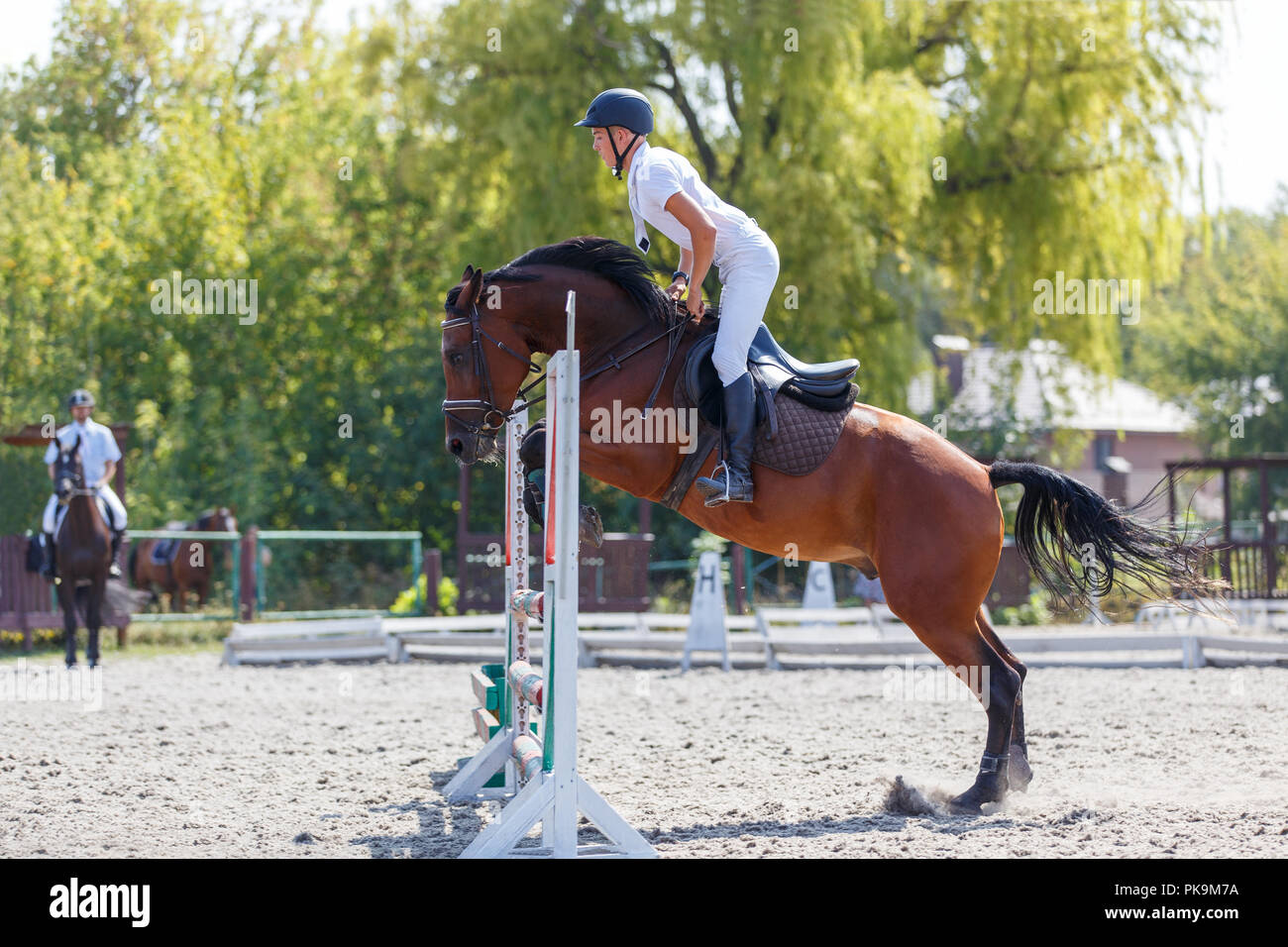 Young man riding horse on show jumping event Stock Photo - Alamy