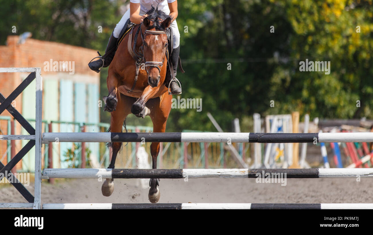 Show jumping event background with copy space Stock Photo - Alamy