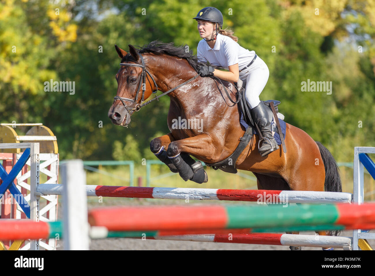 Young horse rider girl on show jumping competition Stock Photo - Alamy