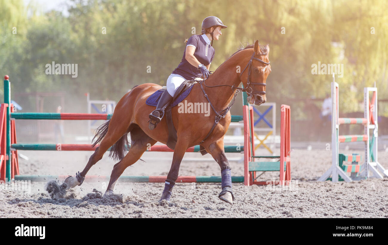 Young woman riding horse on equestrian competition Stock Photo - Alamy