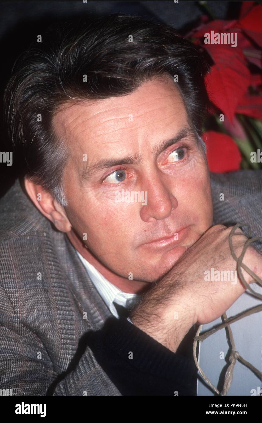 Martin Sheen 1985 Photo By Adam Scull/PHOTOlink /MediaPunch Stock Photo - Alamy
