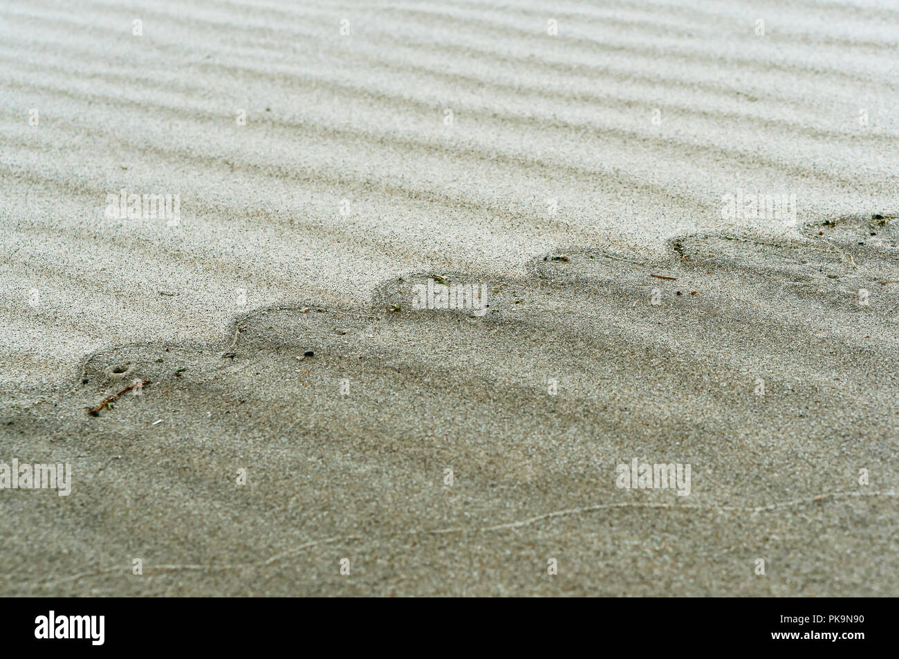 sand ripples, wavy sand surface, sandy smooth sea shore Stock Photo - Alamy