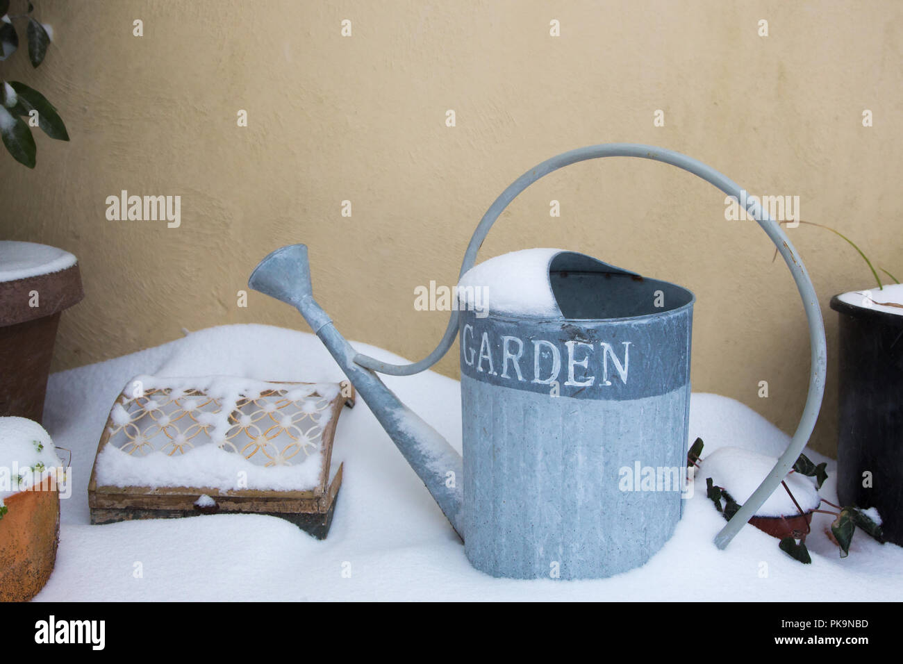 Watering can in snow Stock Photo - Alamy