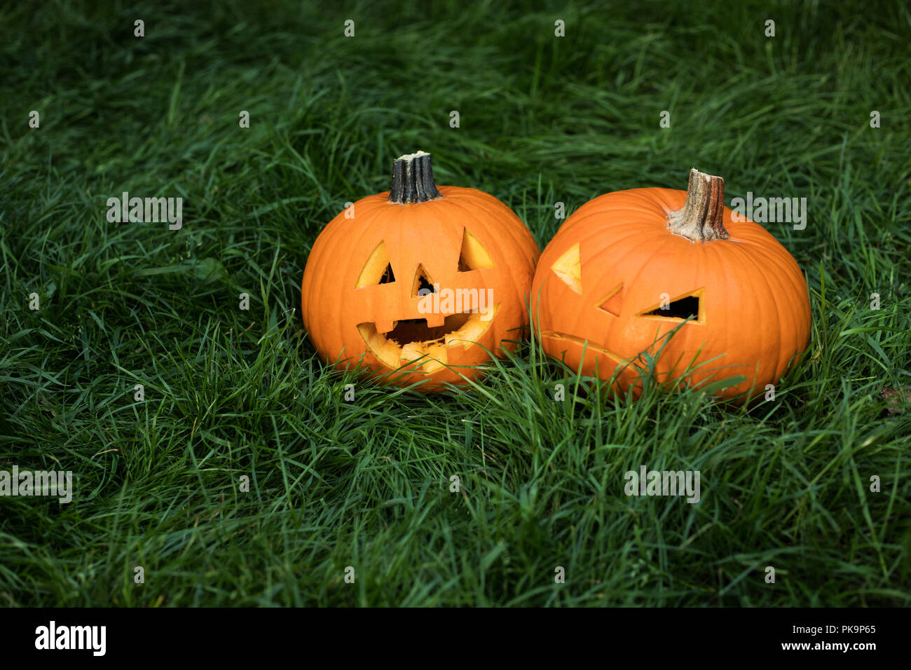 halloween carved pumpkin on grass. jack-o-lantern Stock Photo - Alamy
