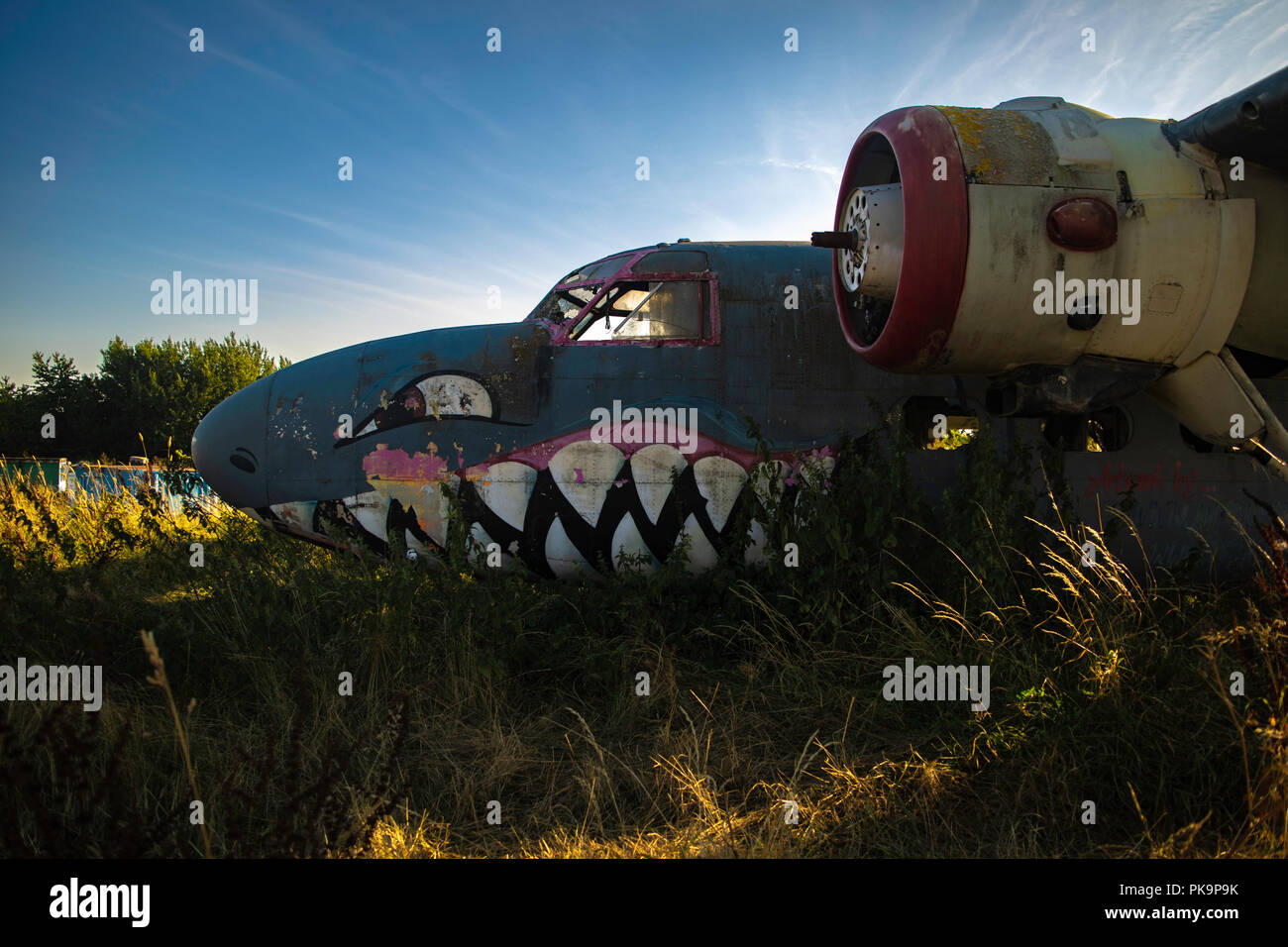 Ww2 abandoned plane hi-res stock photography and images - Alamy