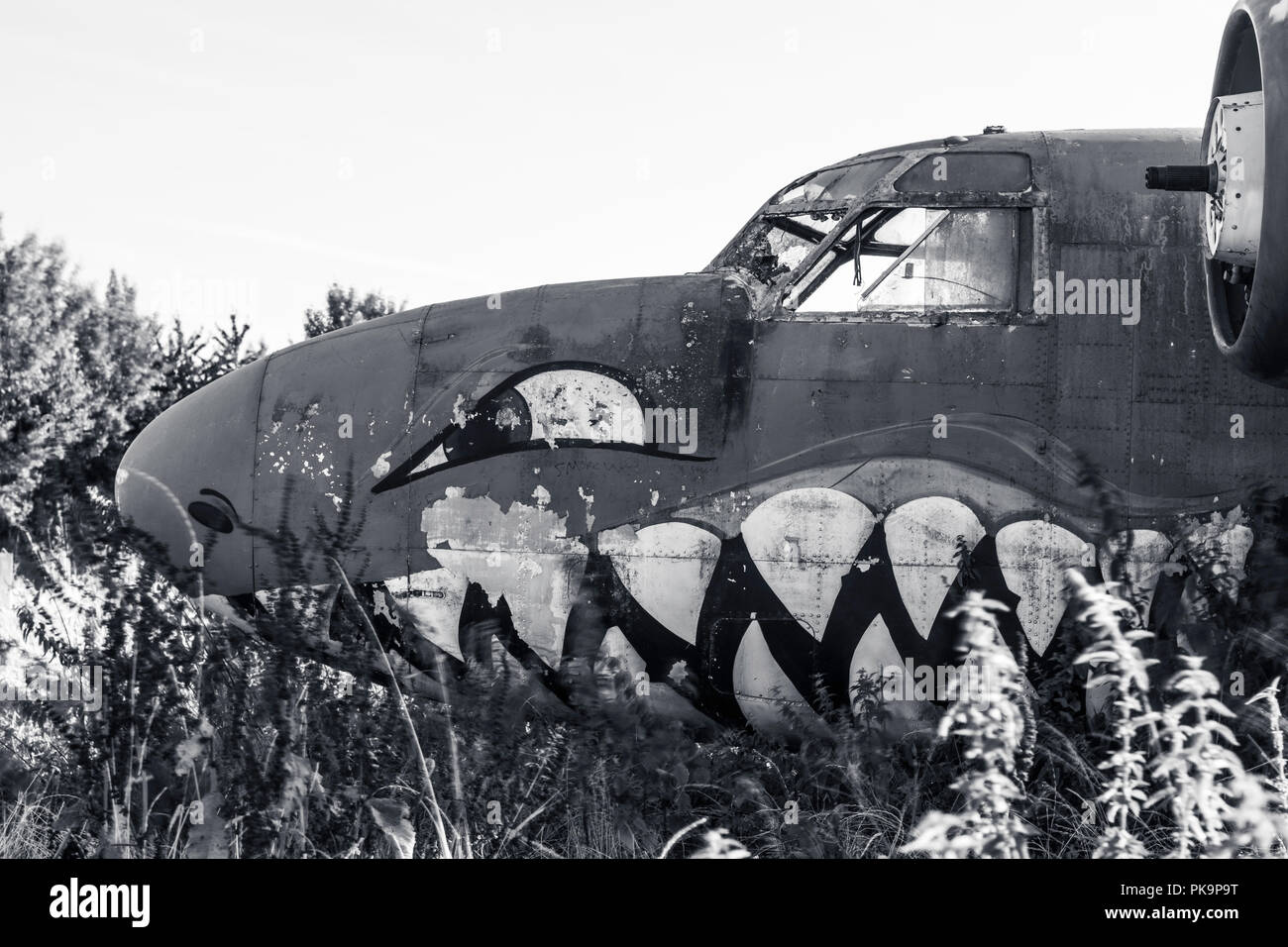 Ww2 abandoned plane hi-res stock photography and images - Alamy