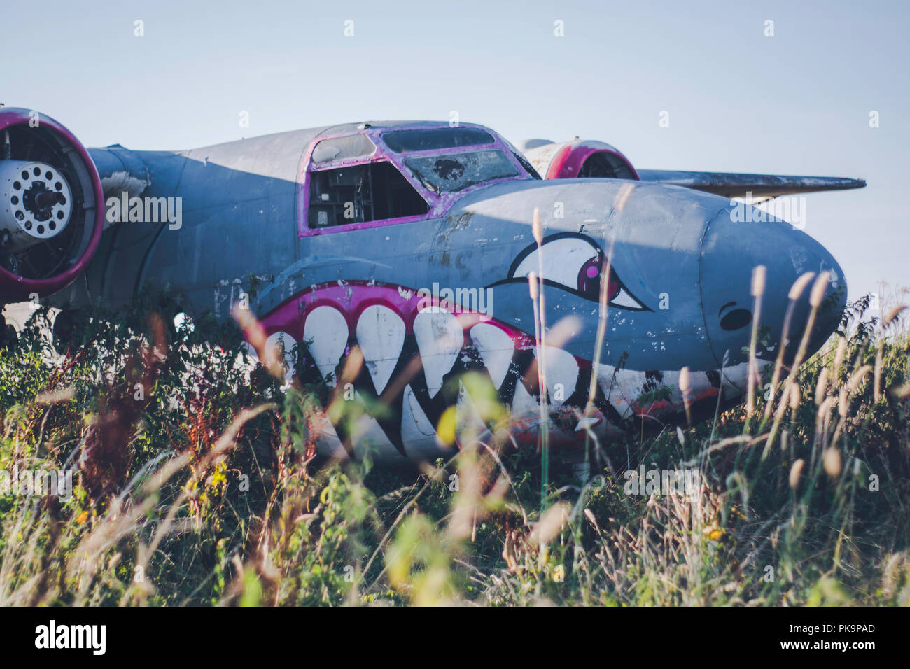 Ww2 abandoned plane hi-res stock photography and images - Alamy