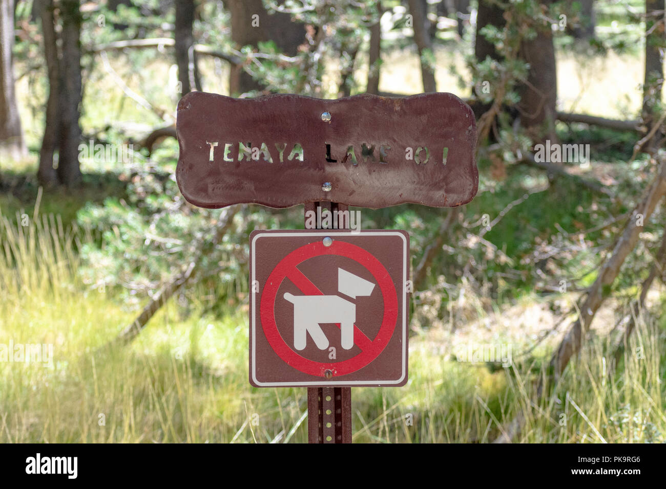 Tenaya lake sign hi-res stock photography and images - Alamy Tenaya lake sign hi-res stock photography and images - Alamy