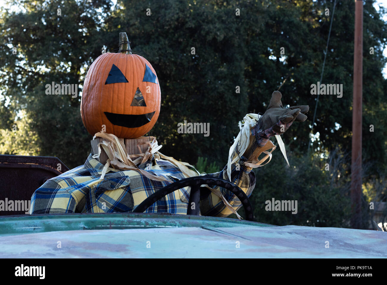Close-up of smiling, happy, welcoming, fun friendly pumpkin head ...