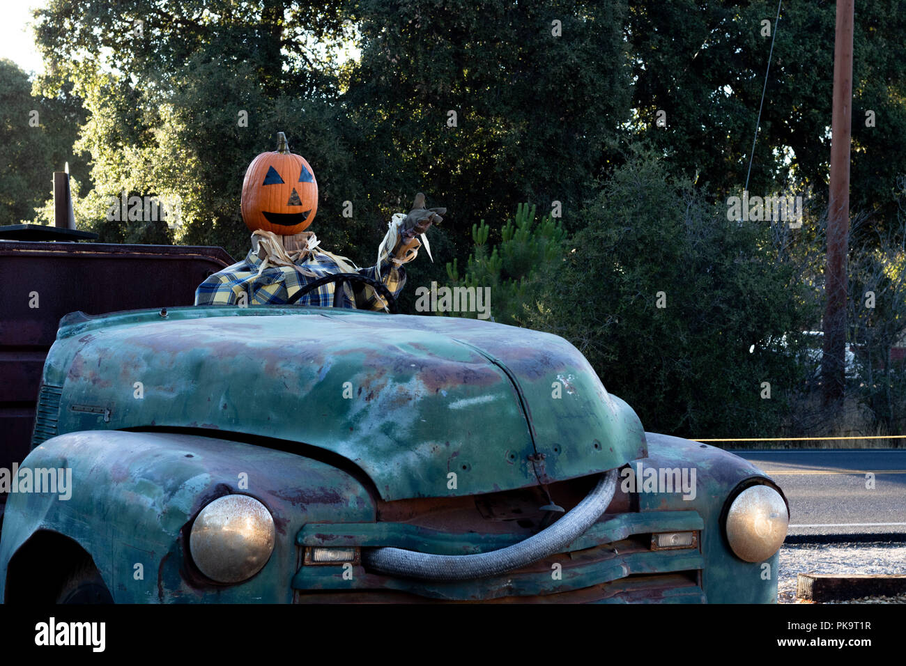 Smiling, happy, welcoming, fun friendly pumpkin head scarecrow driving ...
