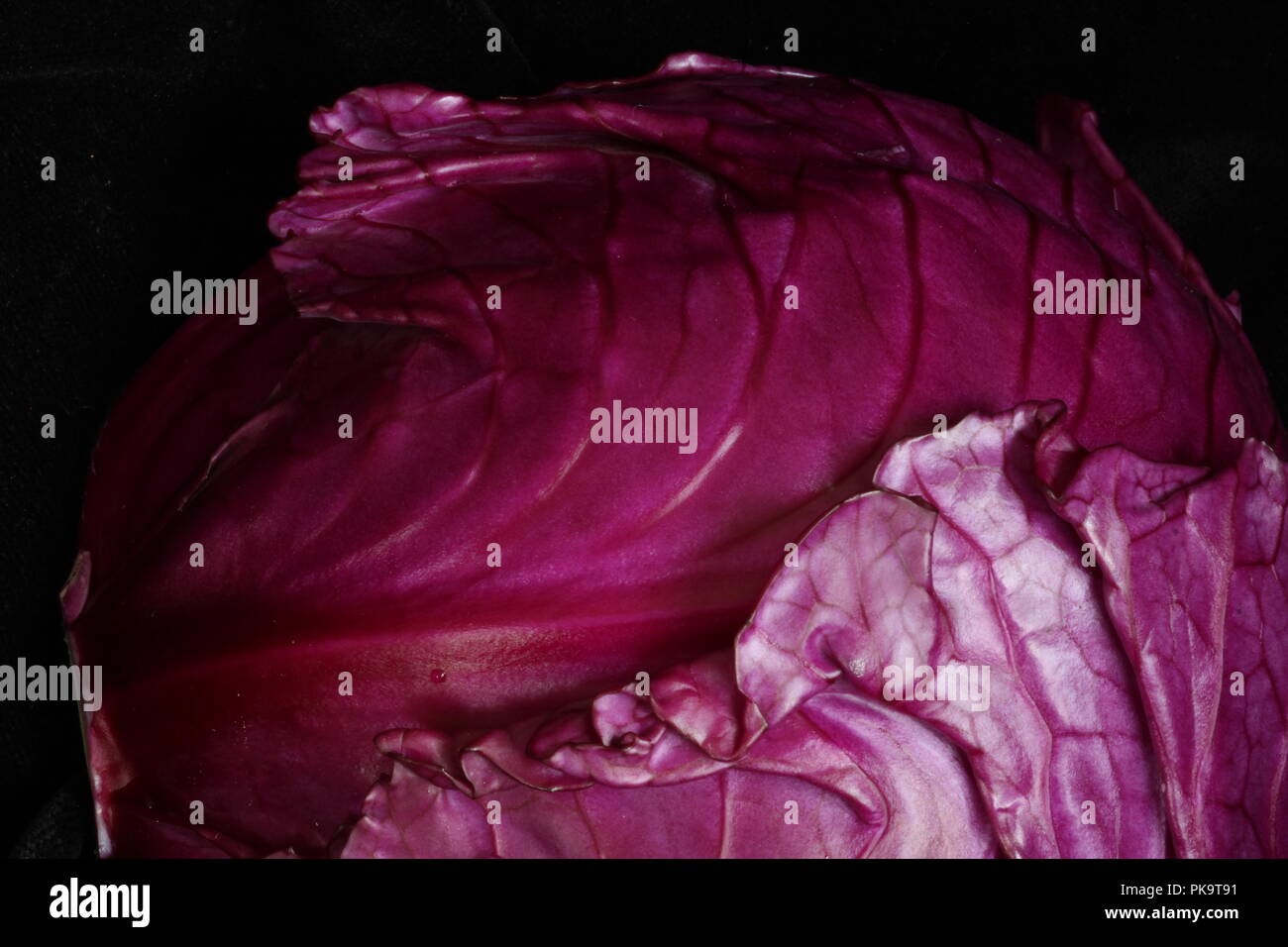 Red brassica hi-res stock photography and images - Alamy