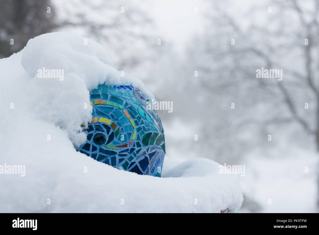 Cold snow day with close-up with shades of blue, aqua, green, gold ...