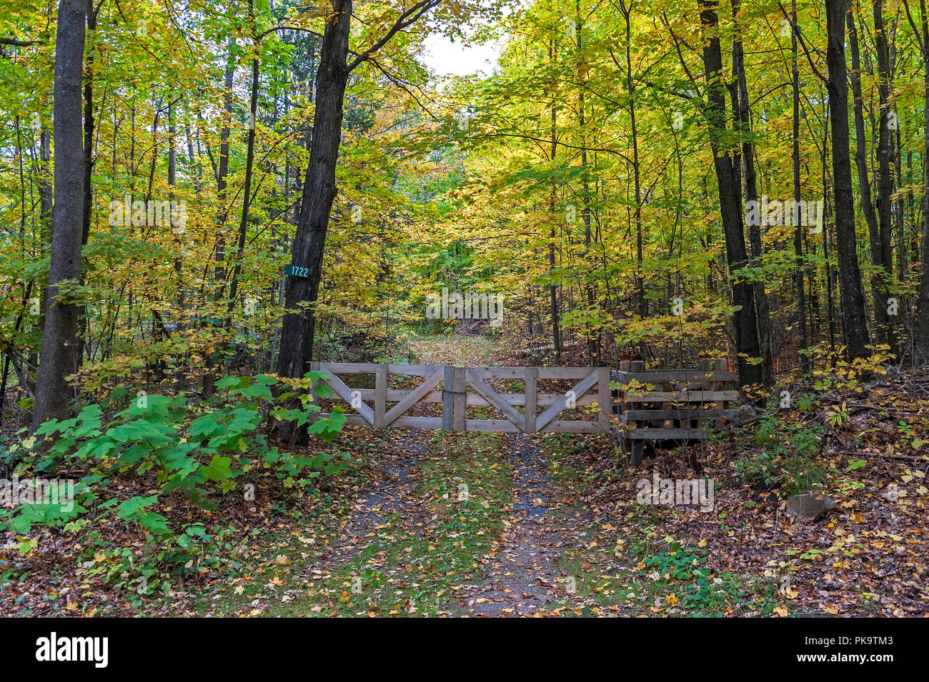 Gate closed to nature trail Stock Photo - Alamy