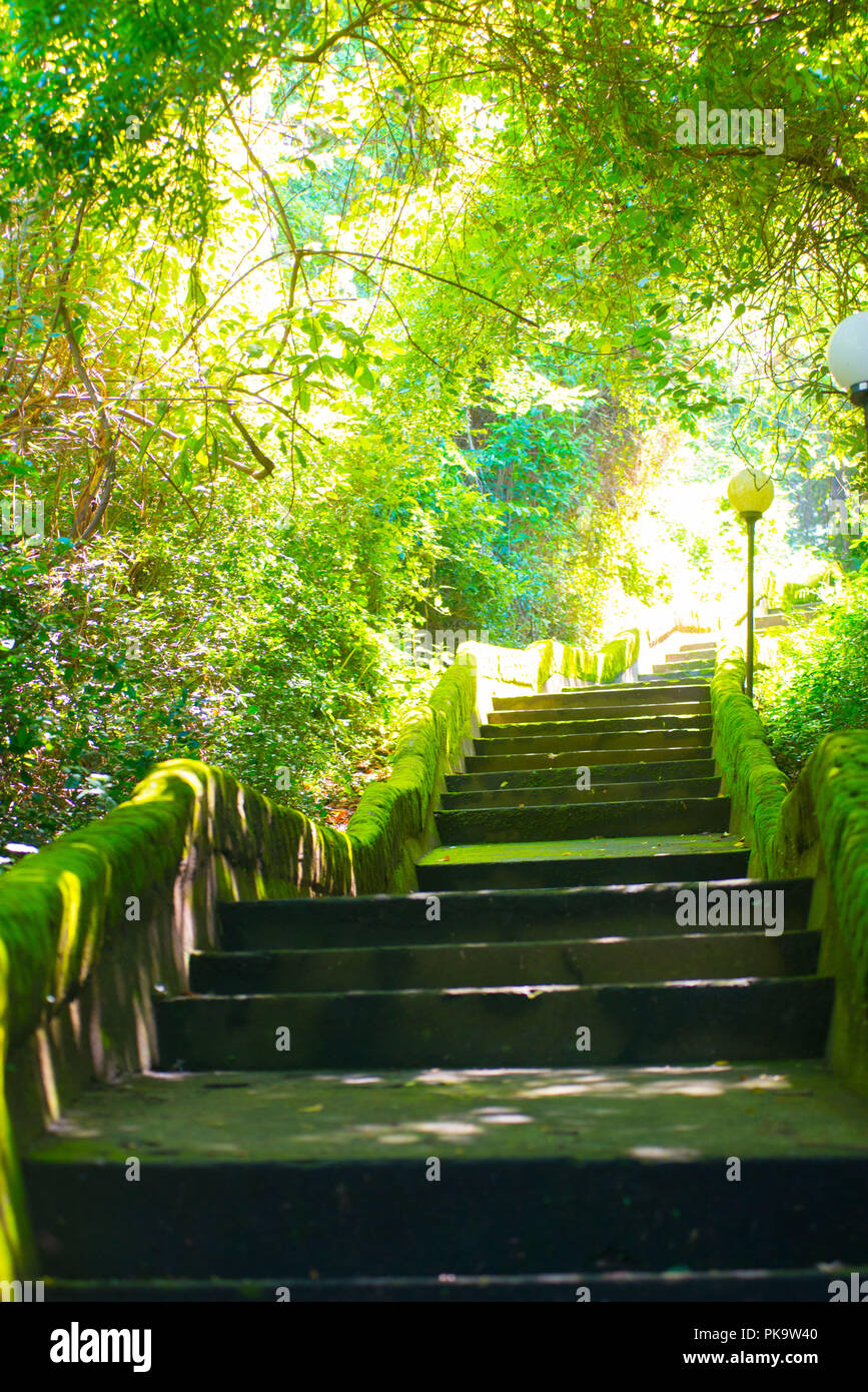 Mossy Stairs nearby the beach of the Bali island, Indonesia. Bali is an ...