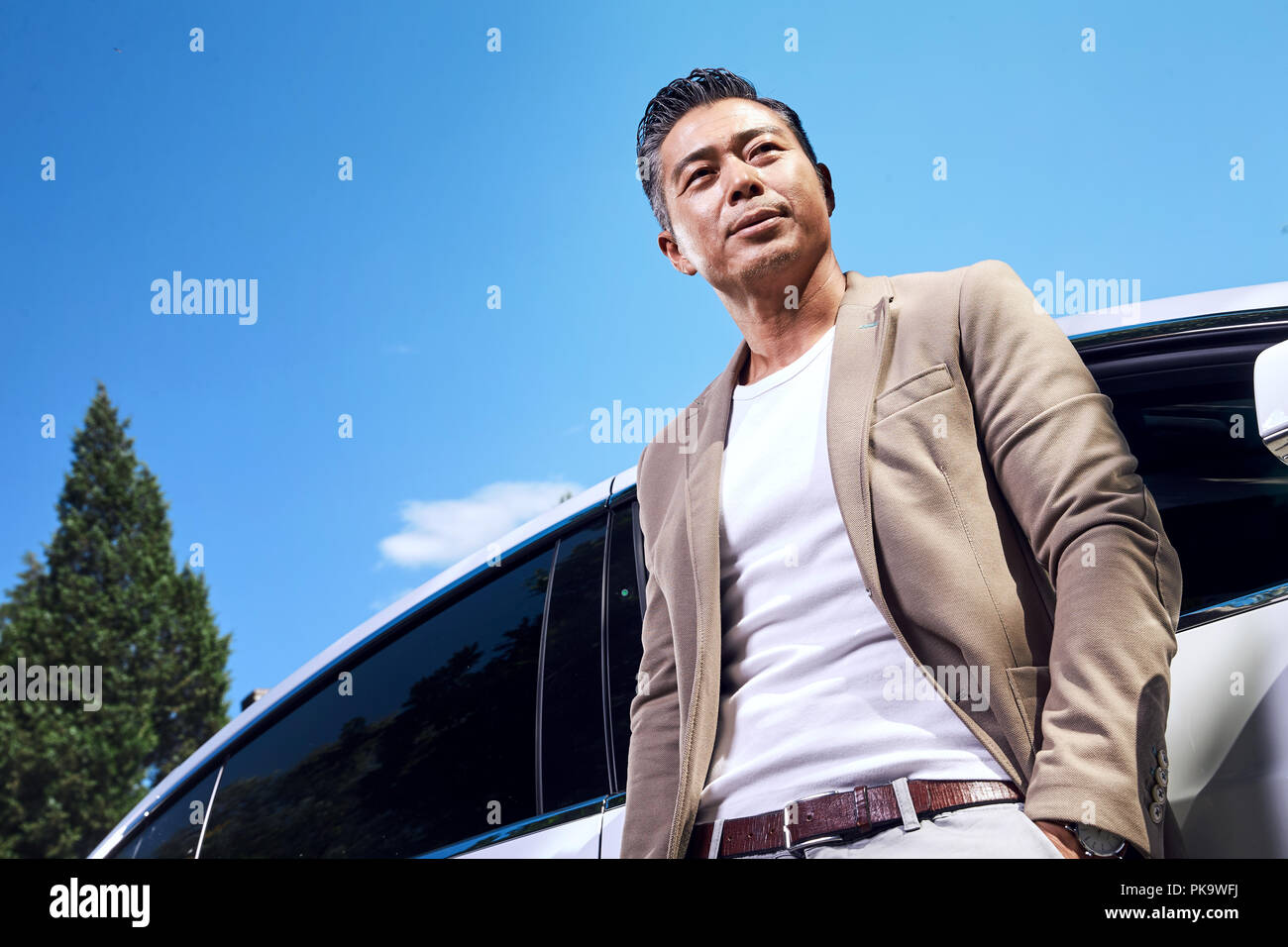 Mature man standing beside the car Stock Photo - Alamy