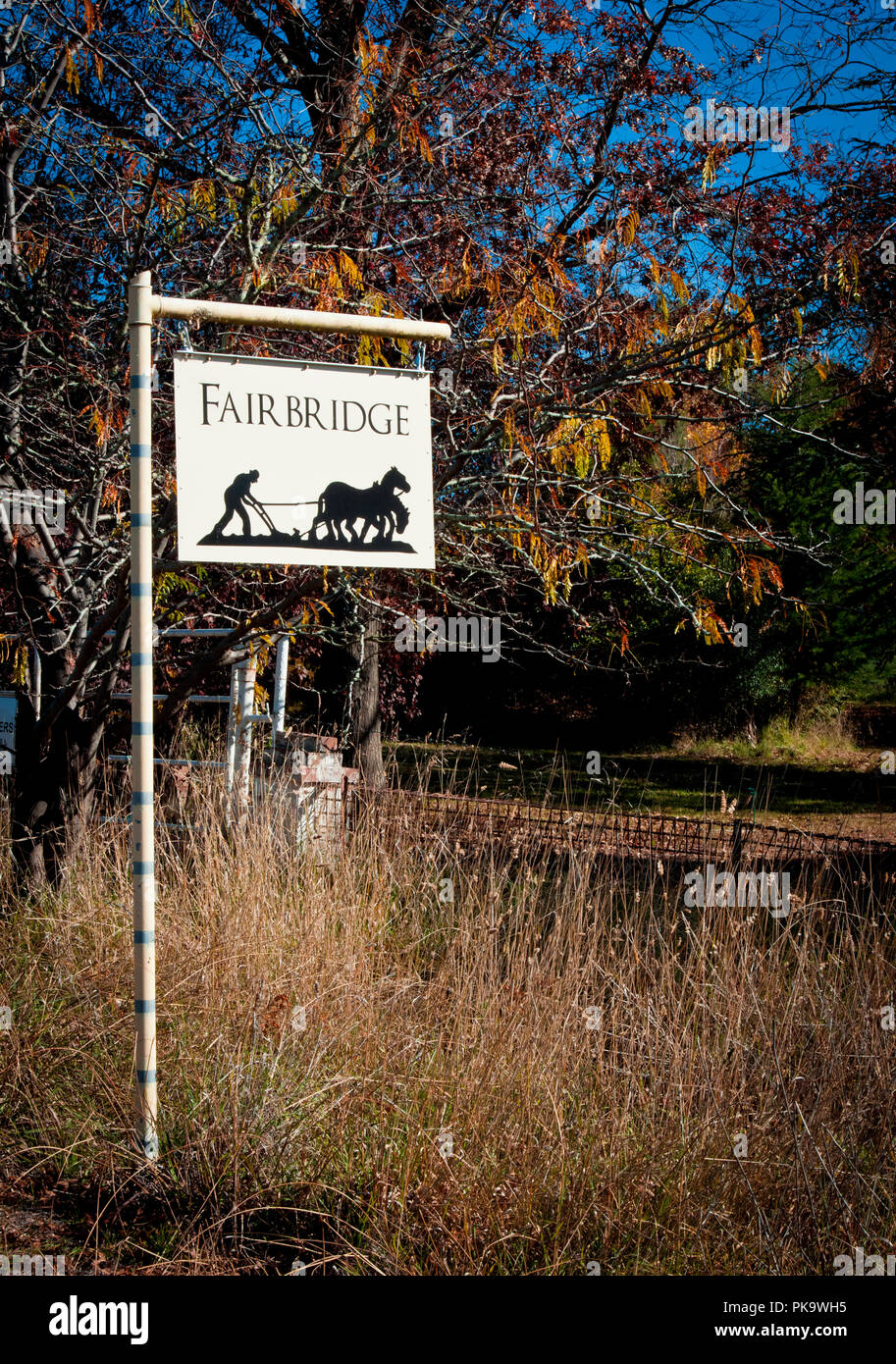 Britain’s child migration scheme saw almost 1000 children travel from ...