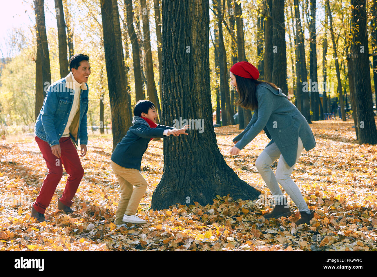 Happy families play outdoors Stock Photo - Alamy