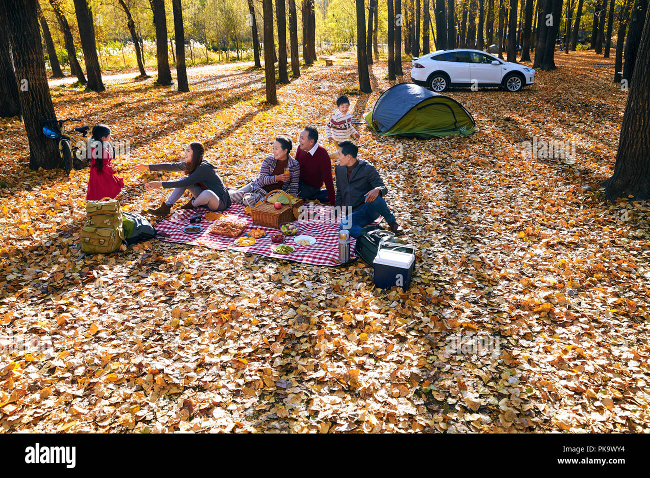 Happy family outdoor outing Stock Photo - Alamy