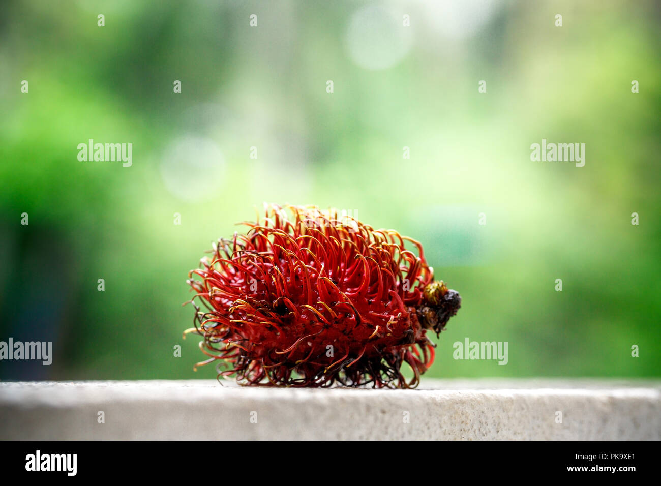 Exotic hairy fruit rambutan in rustic style Stock Photo - Alamy