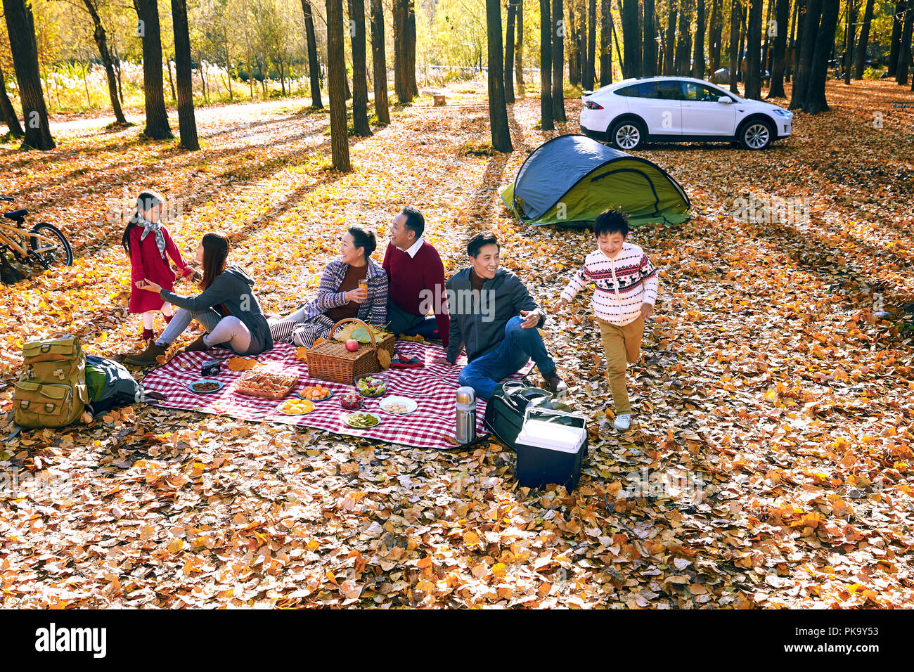 Happy family outdoor outing Stock Photo - Alamy