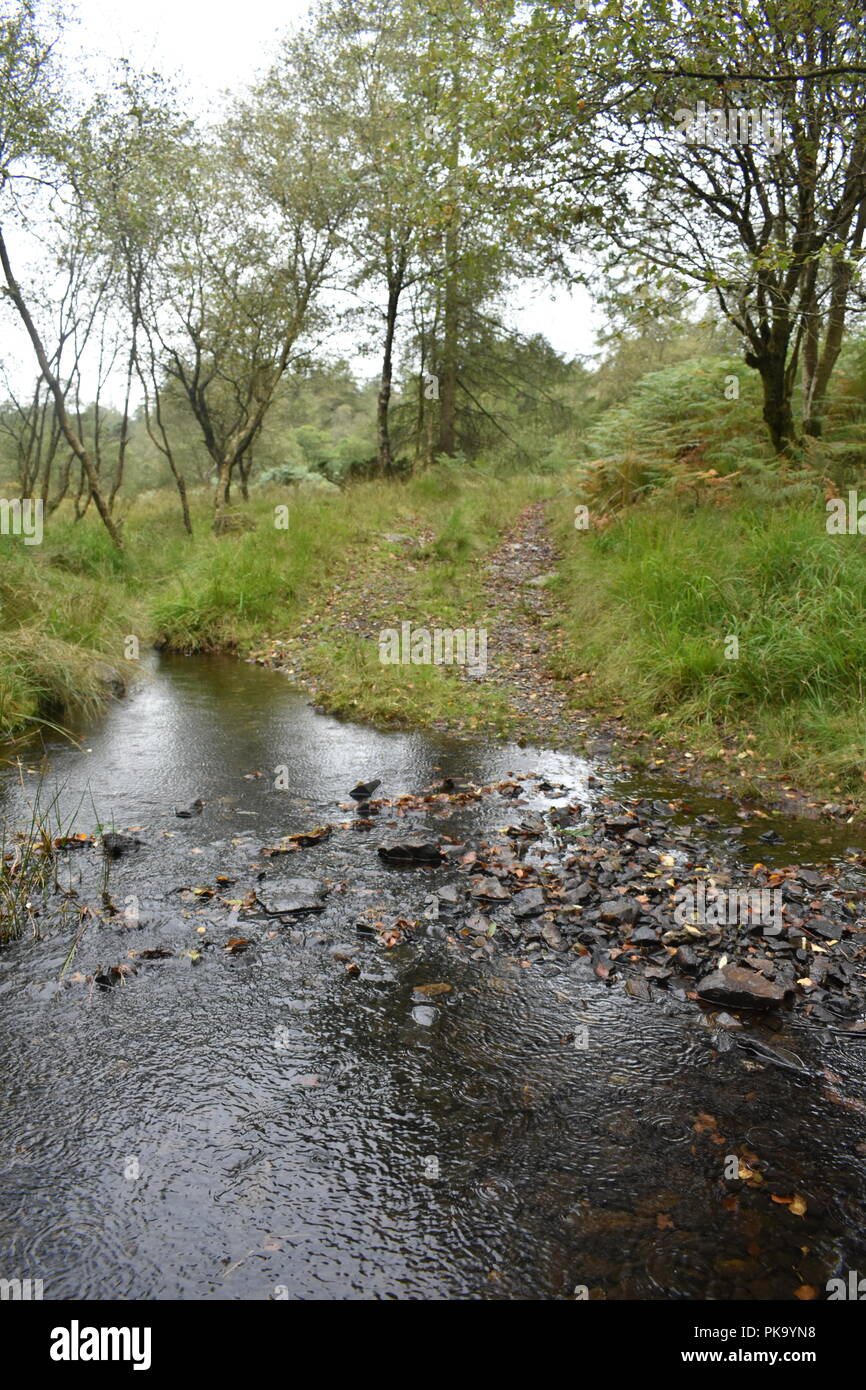 Country scenes in England Stock Photo - Alamy