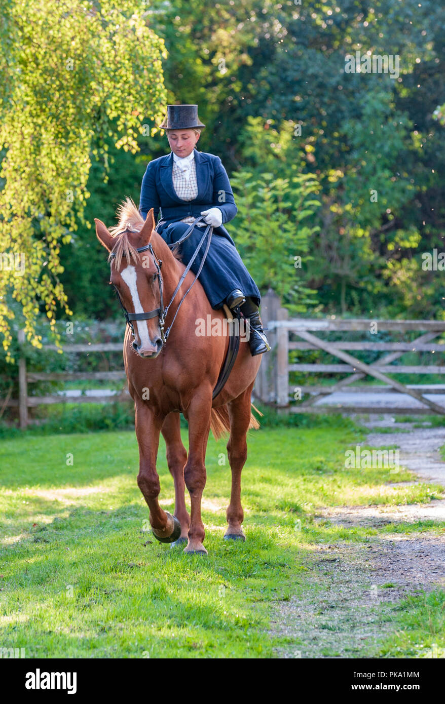 An elegent young lady riding in a traditional side saddle wearing top ...