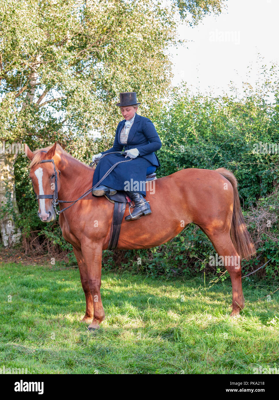 An elegent young lady riding in a traditional side saddle wearing top ...