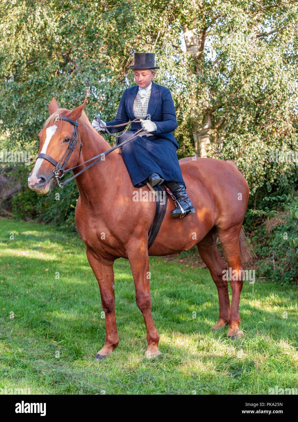 An elegent young lady riding in a traditional side saddle wearing top ...