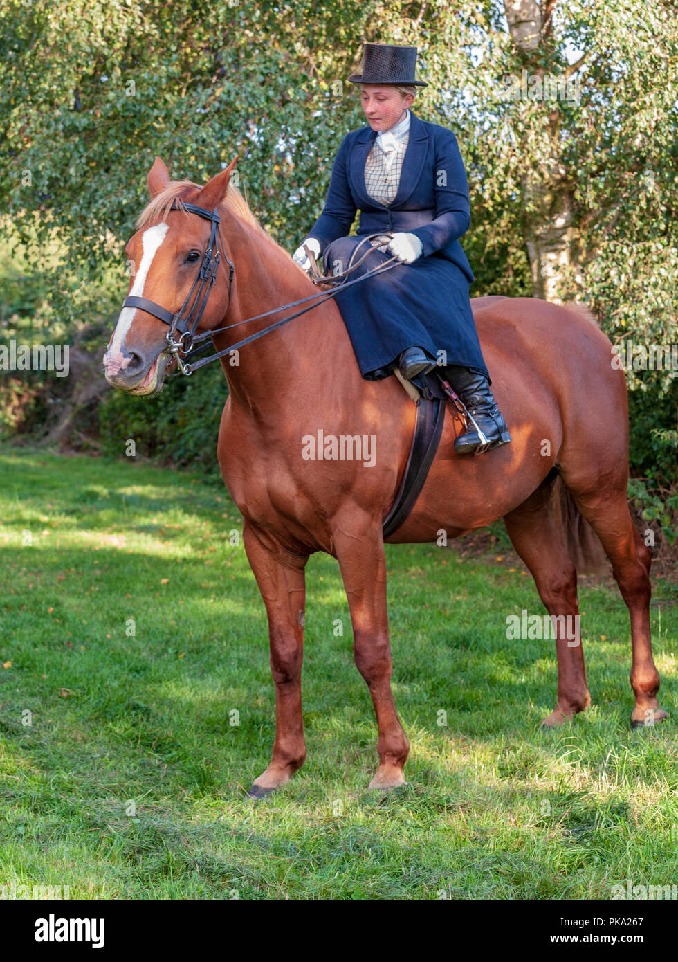 An elegent young lady riding in a traditional side saddle wearing top ...