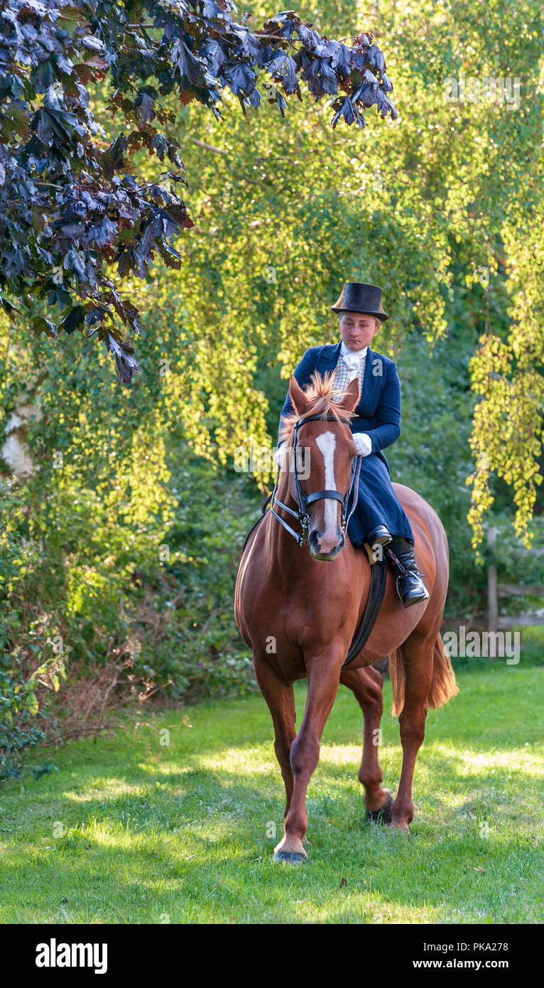 An elegent young lady riding in a traditional side saddle wearing top ...