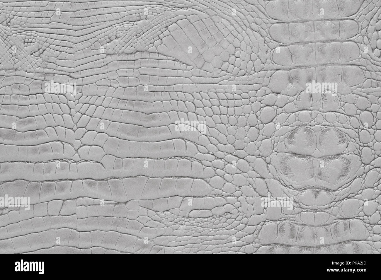 Light grey color animal snake print texture leather background Stock ...