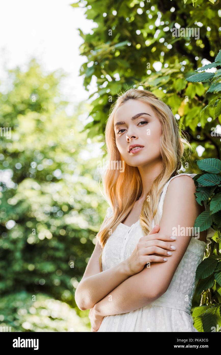 Low Angle Photography Models