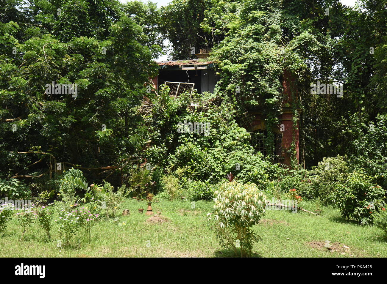 Dilapidated colonial era two story building at the AJC Bose Indian ...